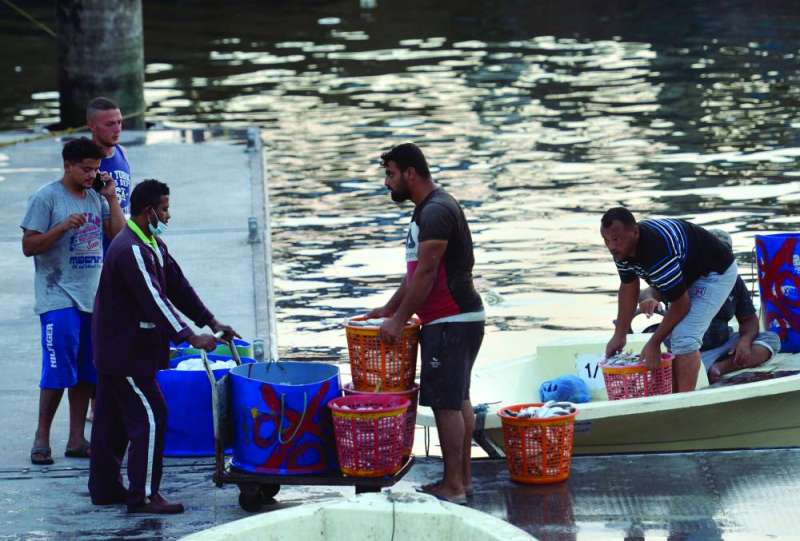 Experts warn Kuwait’s fish stock cannot handle new licenses - Times Kuwait