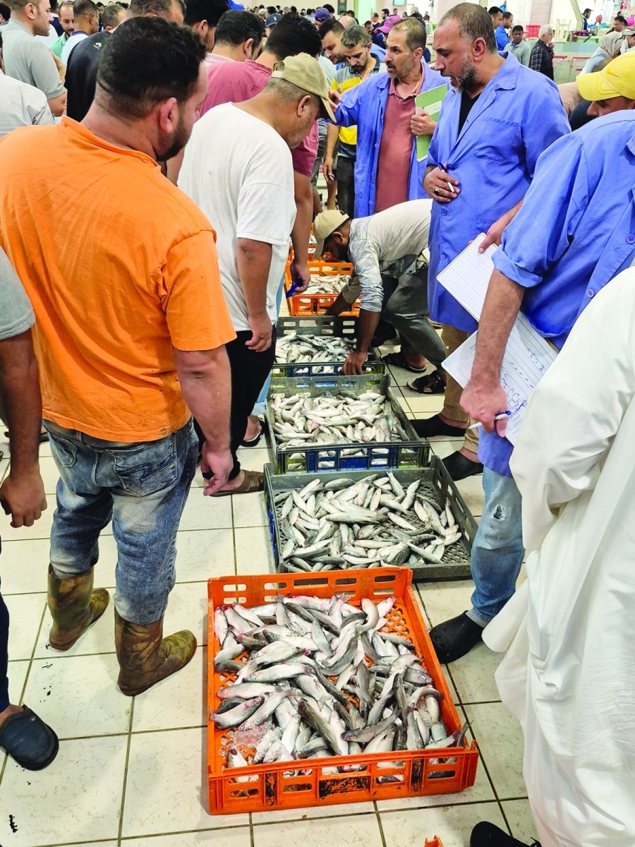 Kuwait allows ‘exceptional’ fishing of mullet in Kuwait Bay to boost ...